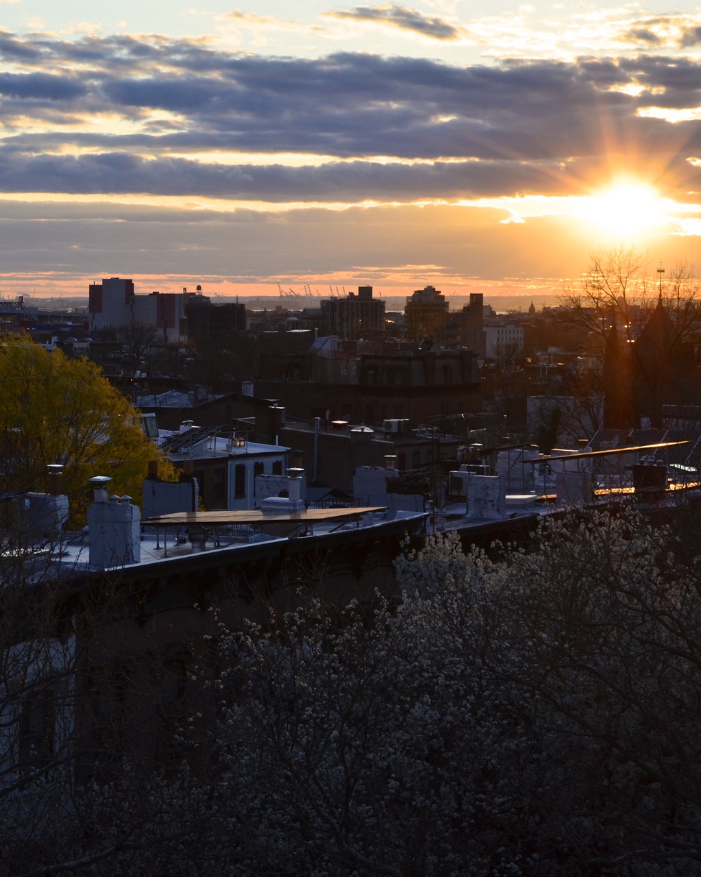 Brooklyn Bloom | Nati Art Photography